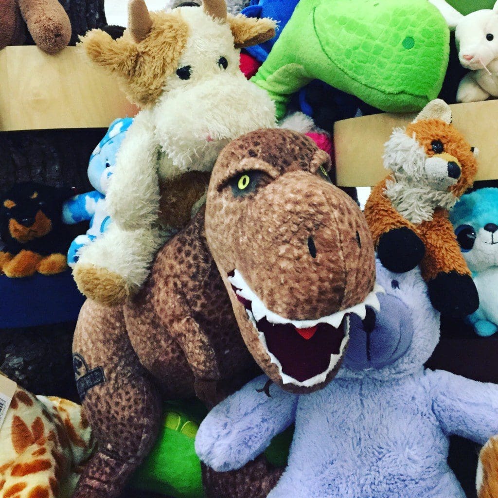 From the Library: Summer Fun at the Rochester Public Library