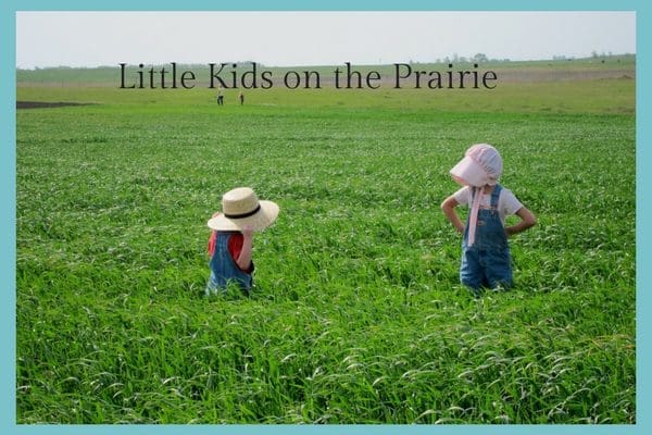 Little Road Trip on the Prairie: Your Guide to Laura Ingalls Wilder