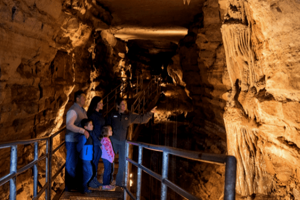 Boundless | Rochester's NEW Fully-Inclusive Indoor Playground