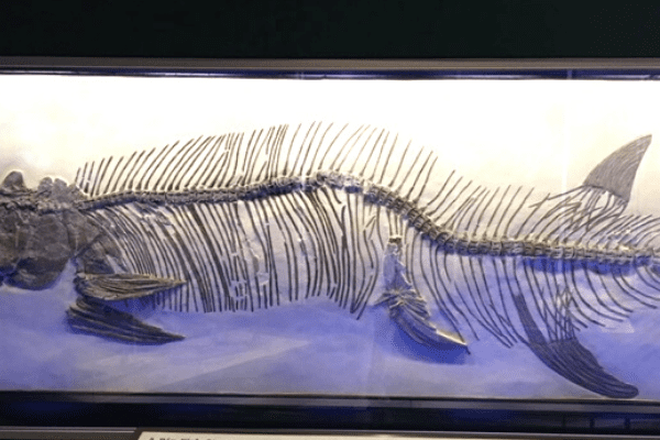 Rochester MN Day Trips