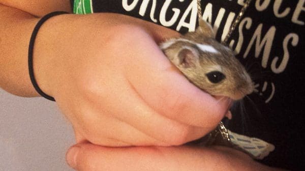 How I Came to Keep Dead Mice in My Freezer