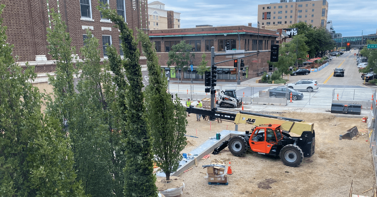 What Makes the New Trees Downtown So Special? | ♡ Heart of the City for ...