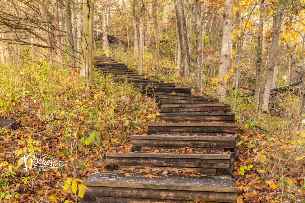 7 Fall Hikes in Rochester MN