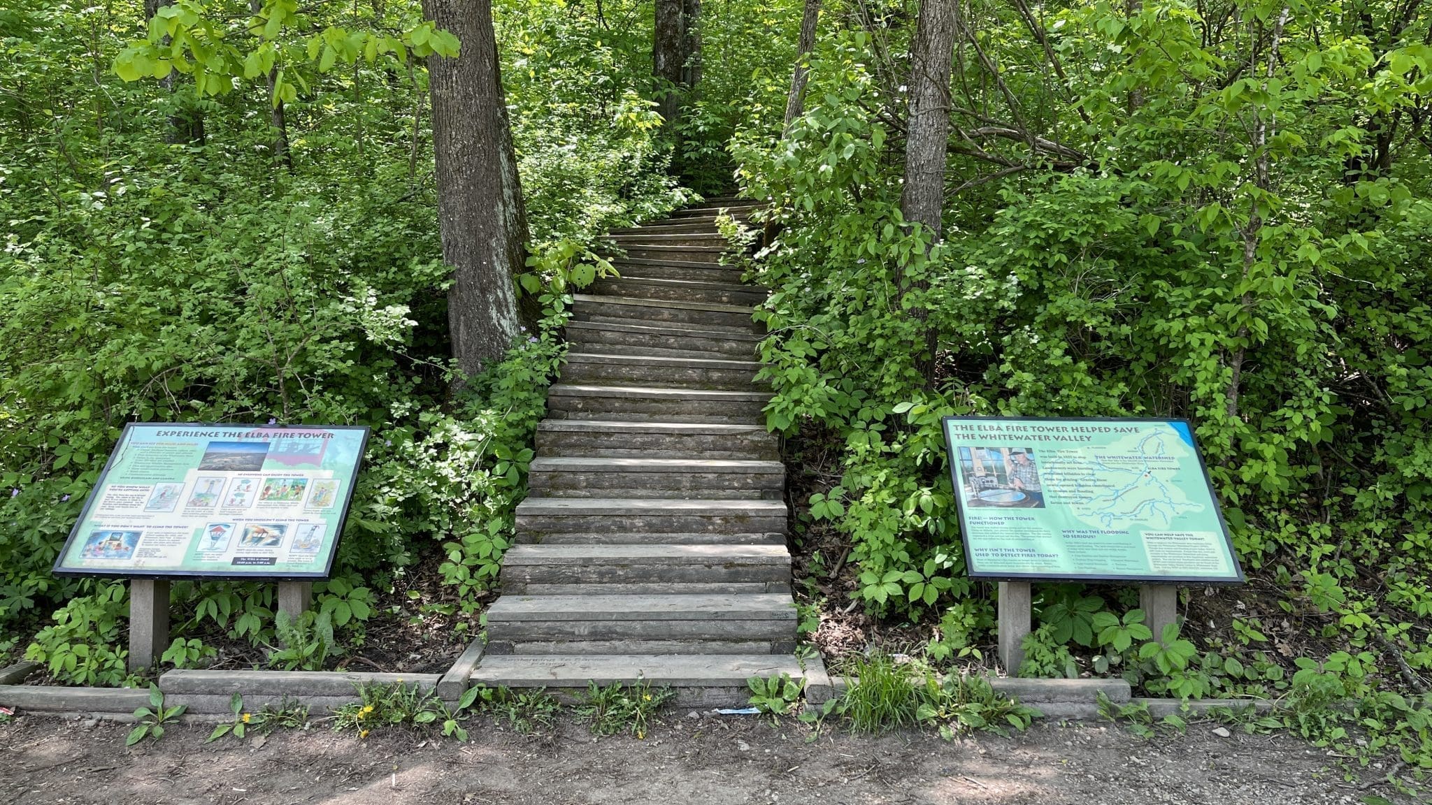 Field Trip Friday: Elba Fire Tower