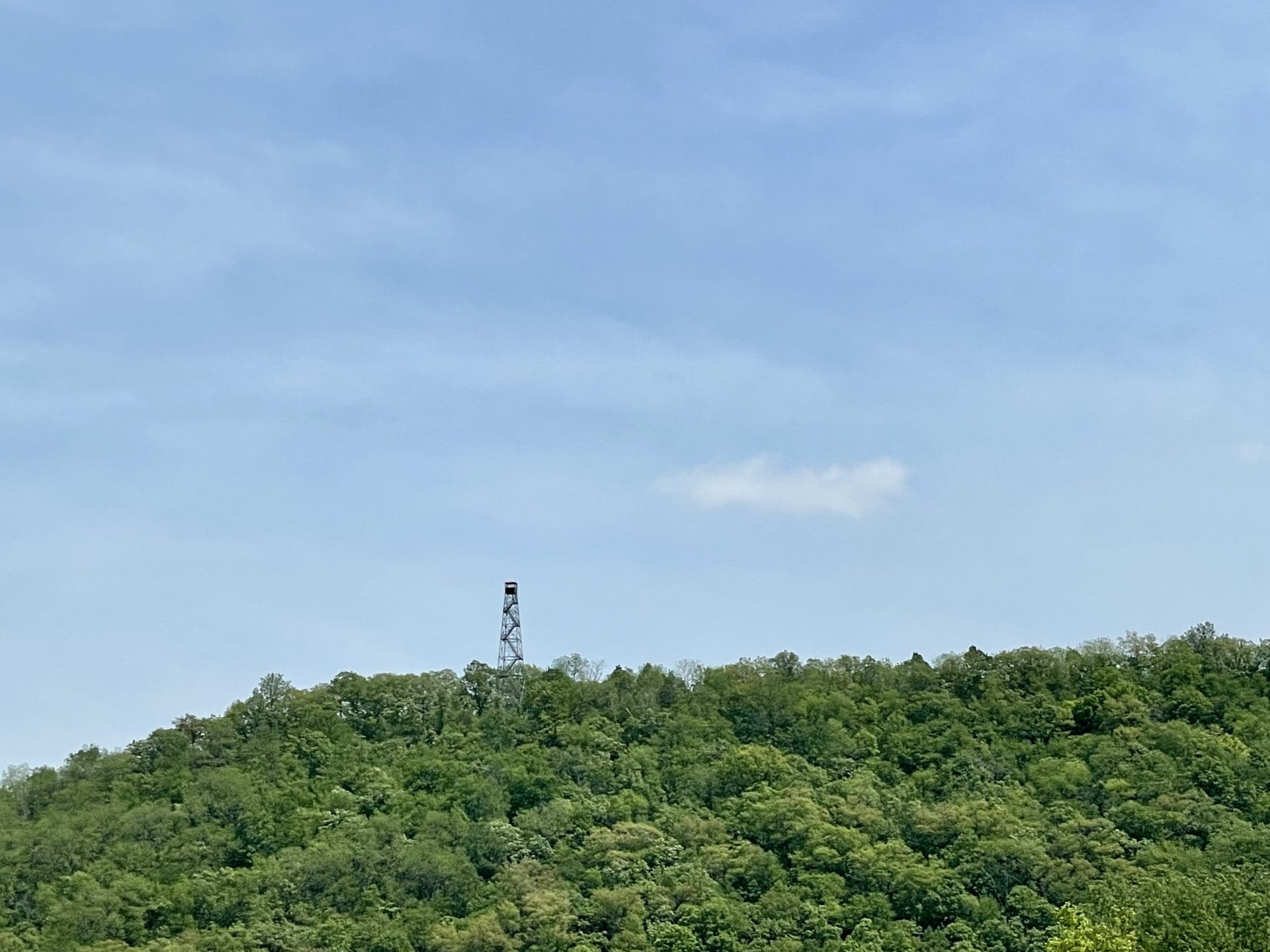 Field Trip Friday: Elba Fire Tower