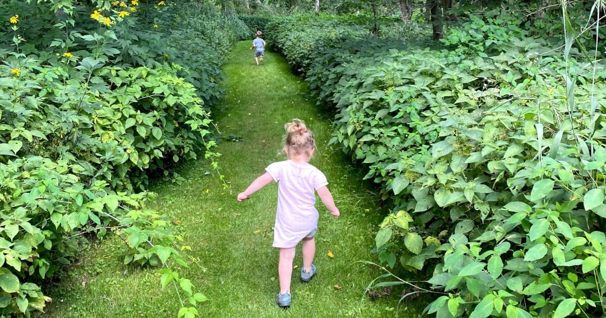 Field Trip Friday: Carley State Park