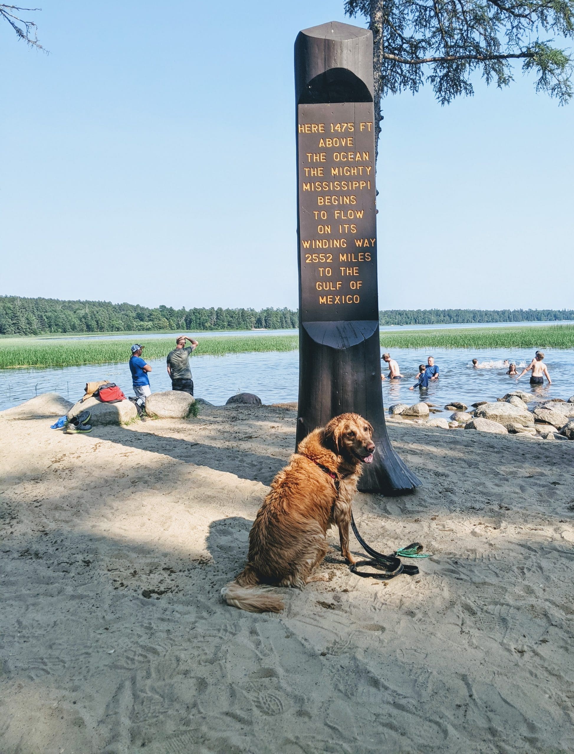 Exploring Minnesota: A Family Trip to Itasca State Park