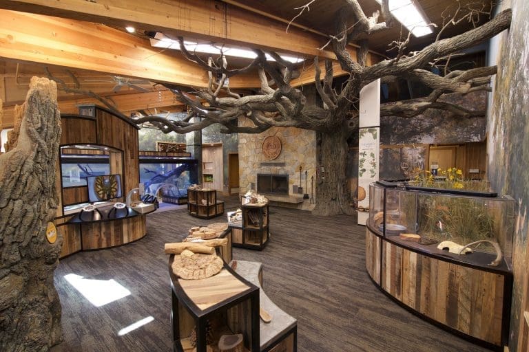 8 Nature Centers to Explore in SE MN