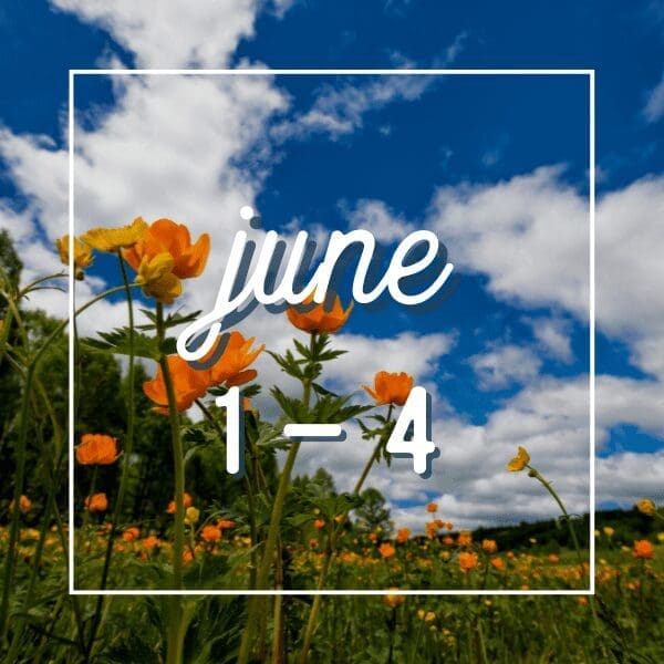 Rochester MN Guide to June Events