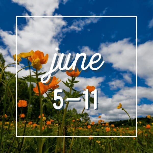 Rochester MN Guide to June Events