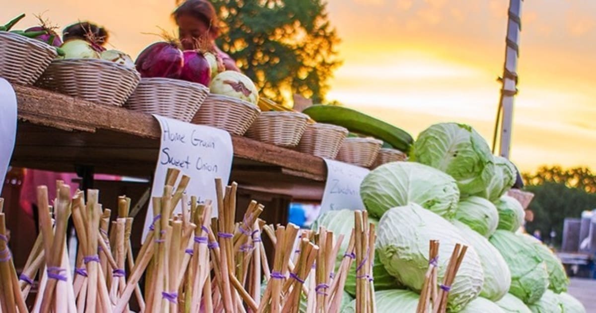 Guide to the Rochester MN Farmers Market