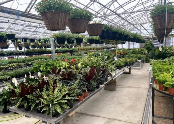 Guide to Rochester Area Nurseries and Greenhouses