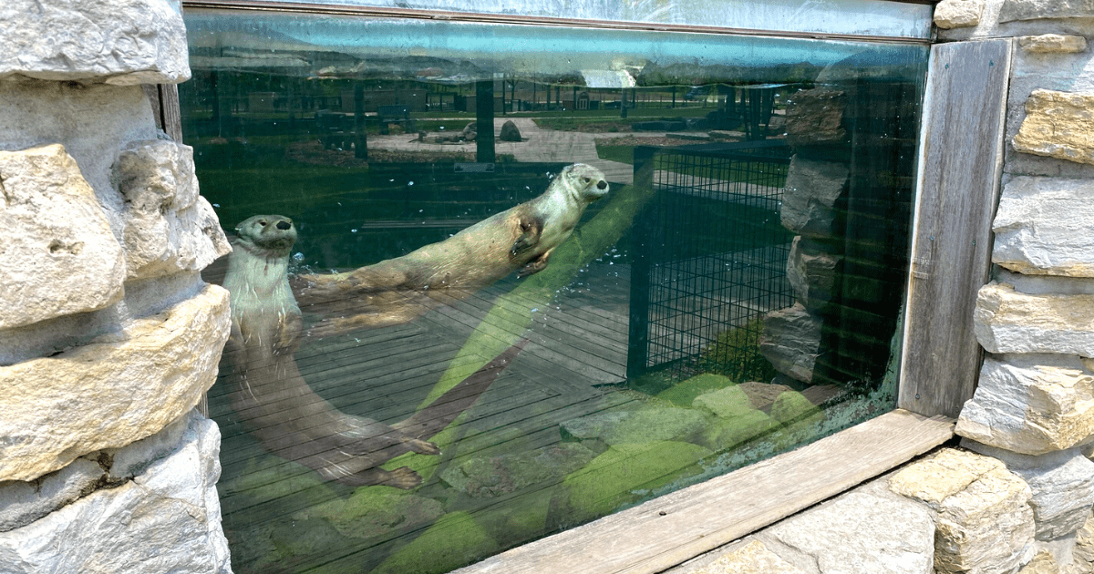 Day Trip: Oxbow Park & Zollman Zoo