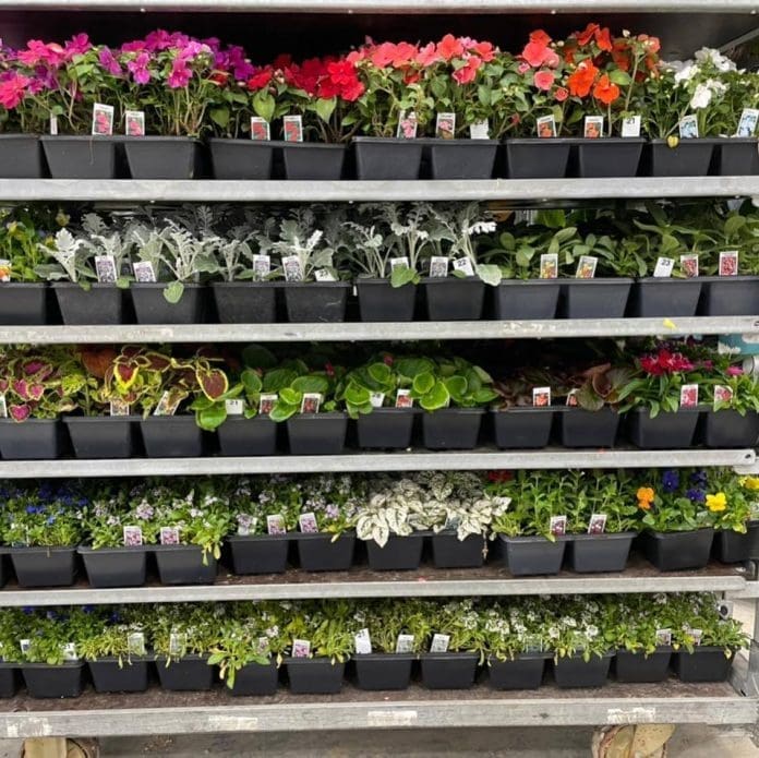Guide to Rochester Area Nurseries and Greenhouses