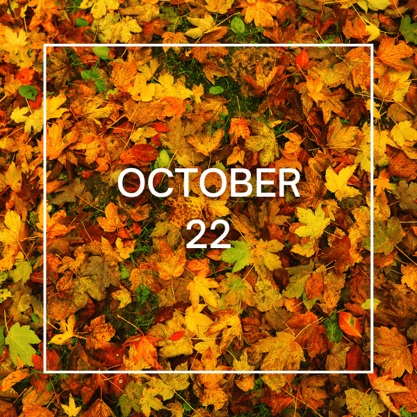 Rochester MN Guide to MEA Weekend