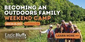 Rochester MN Holiday Lights Guide