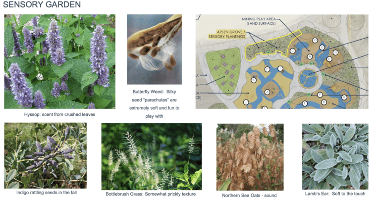 Rochester MN Guide to Cascade Lake Park