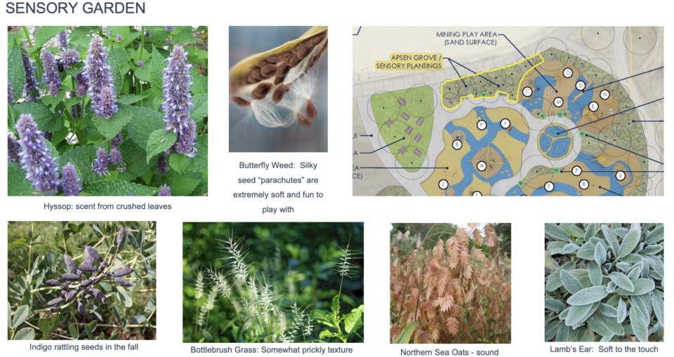 Rochester MN Guide to Cascade Lake Park