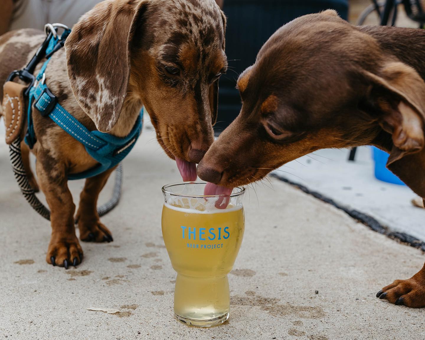 Thesis Beer Project: Good Beer, Great Music
