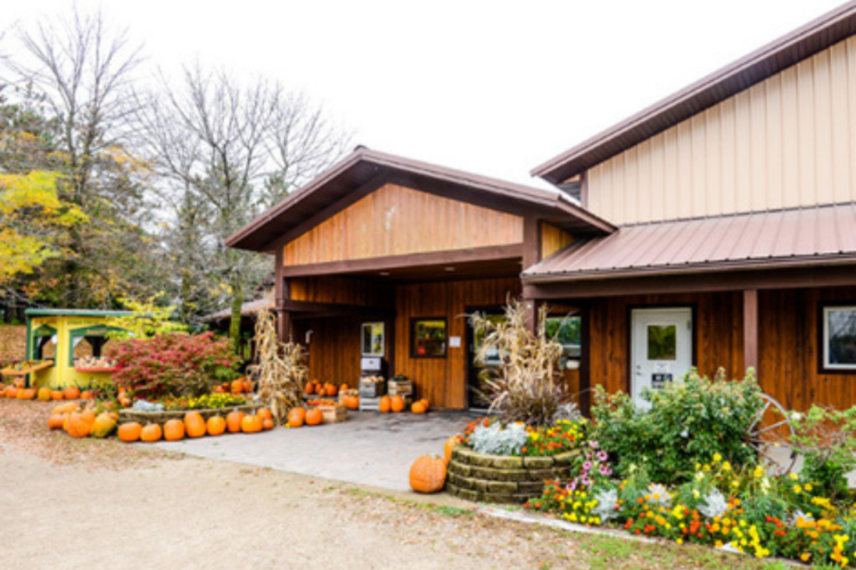 Rochester MN Guide to Apple Orchards, Pumpkin Patches & More