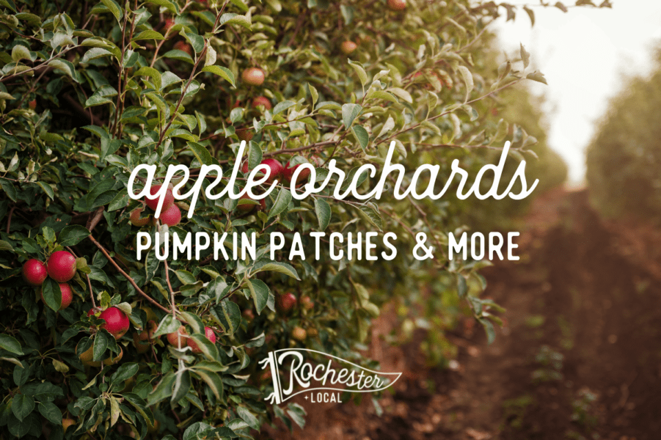 Rochester MN Guide to Apple Orchards, Pumpkin Patches & More