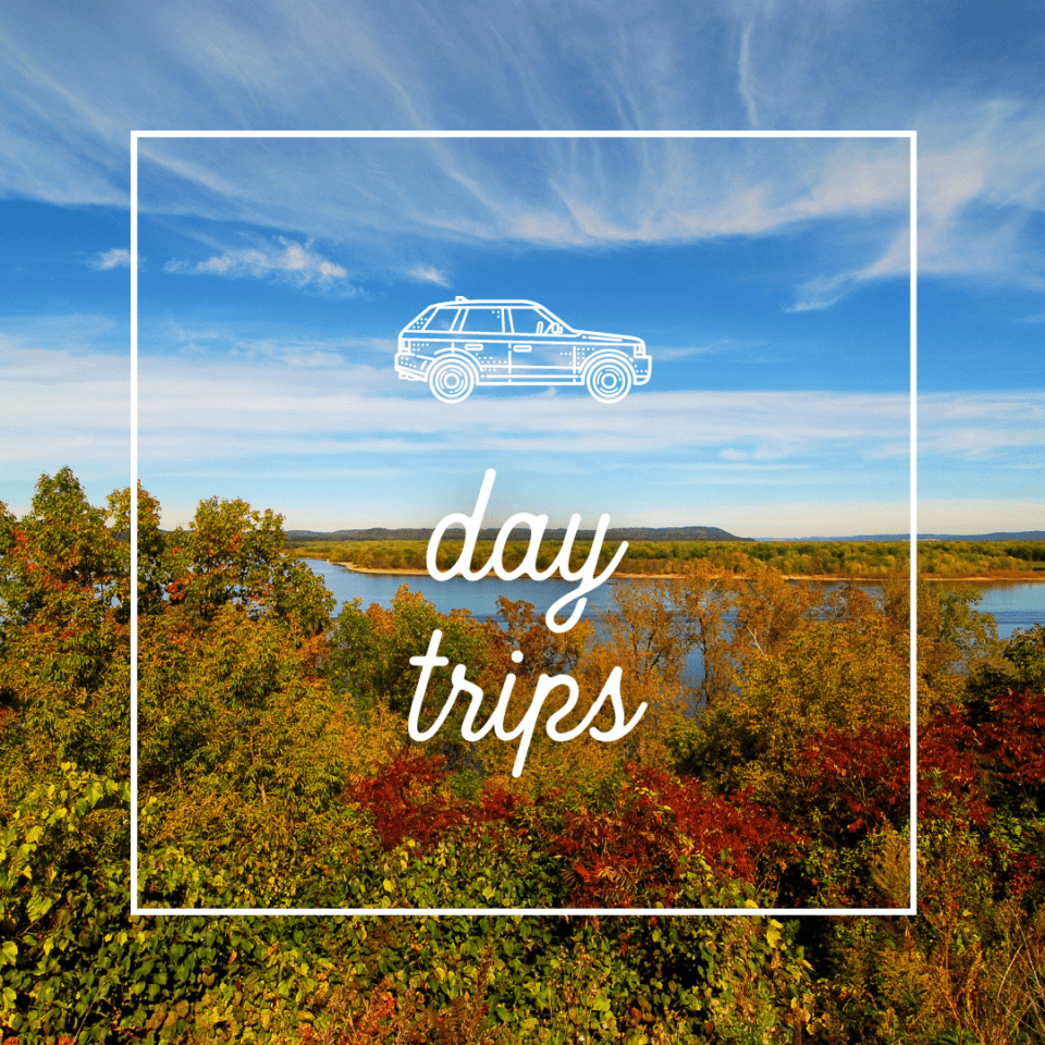 Rochester MN Guide to Fall: Festivals, Orchards, Halloween & More!