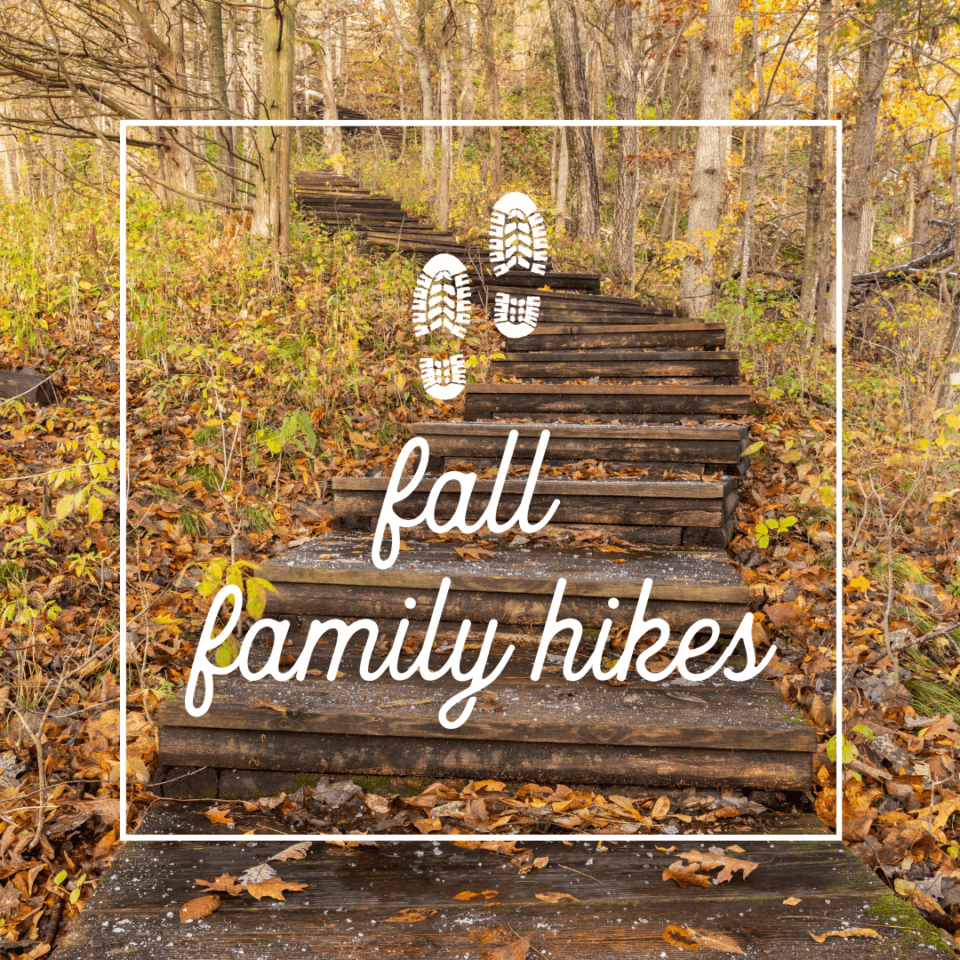 Rochester MN Guide to Fall: Festivals, Orchards, Halloween & More!