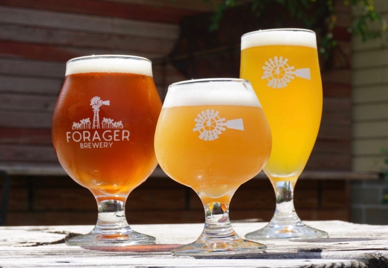 Drink Local, Eat Local: Forager Brewery