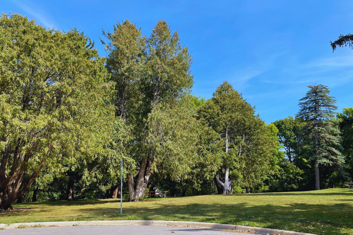 Rochester MN Area Fall Photo Spots