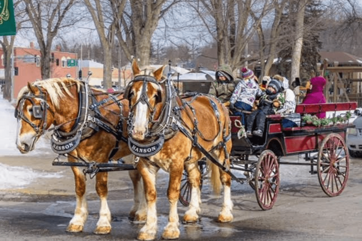 Roch MN Area Guide to Sleigh Rides