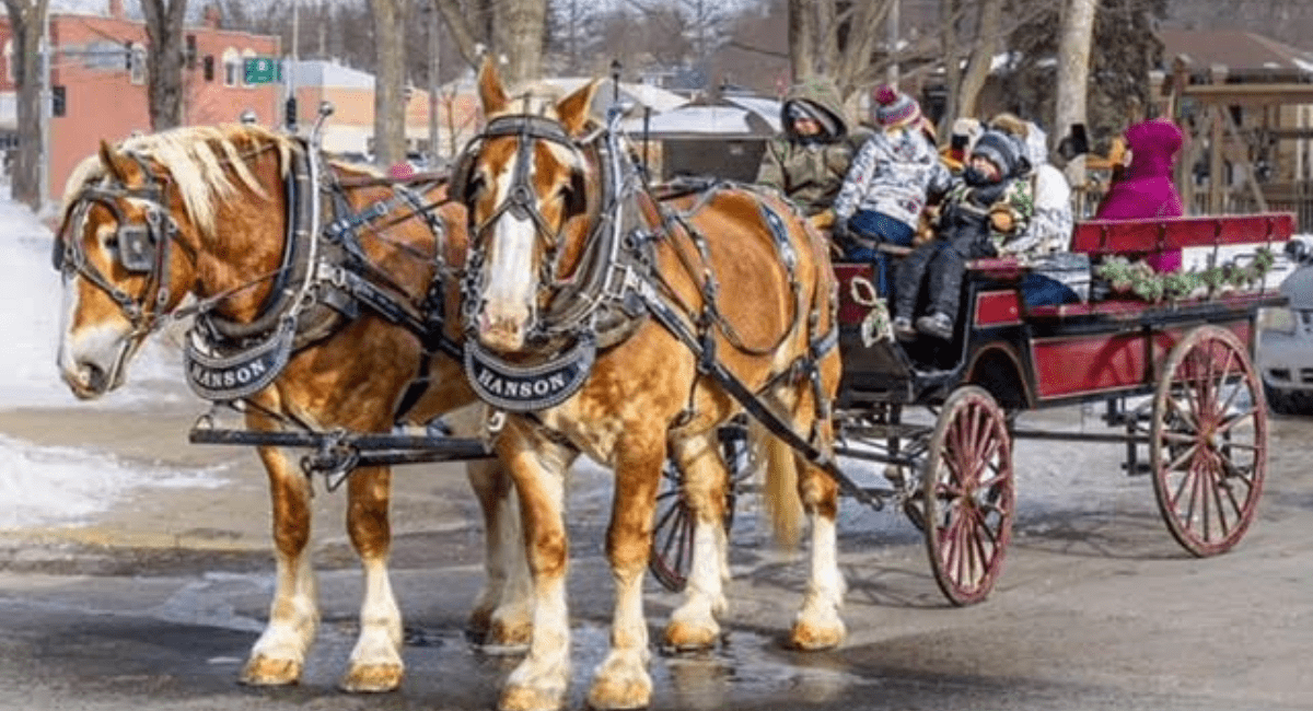 Roch MN Area Guide to Sleigh Rides