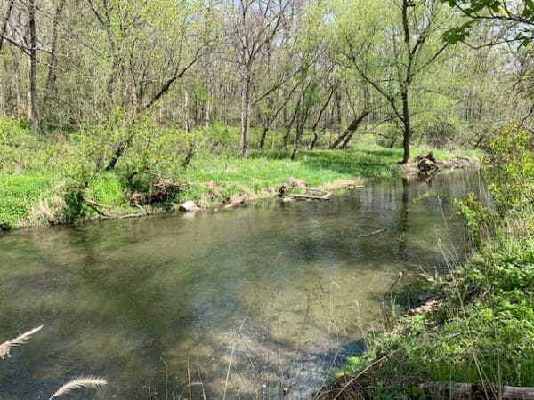 Carley State Park | Your Spring Wildflowers Destination