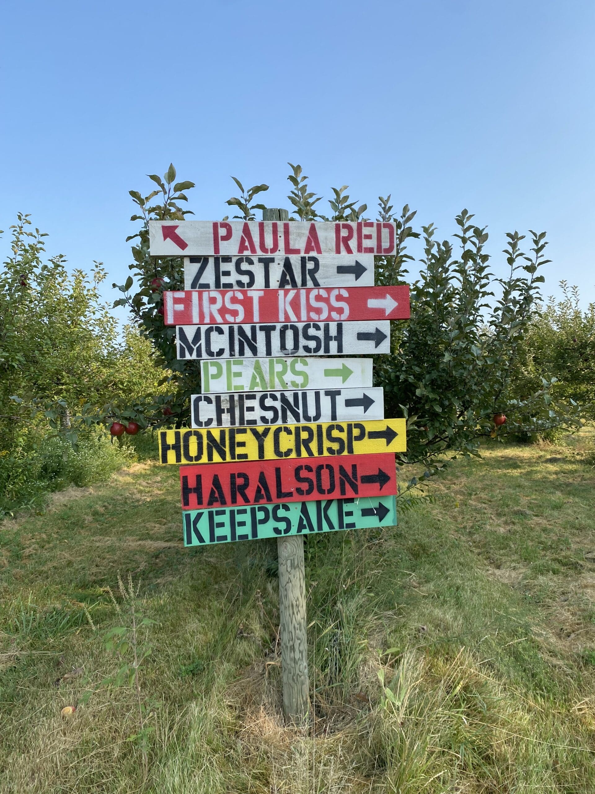 Rochester's Sweet Neighbor: Fresh Apples Minutes from Downtown
