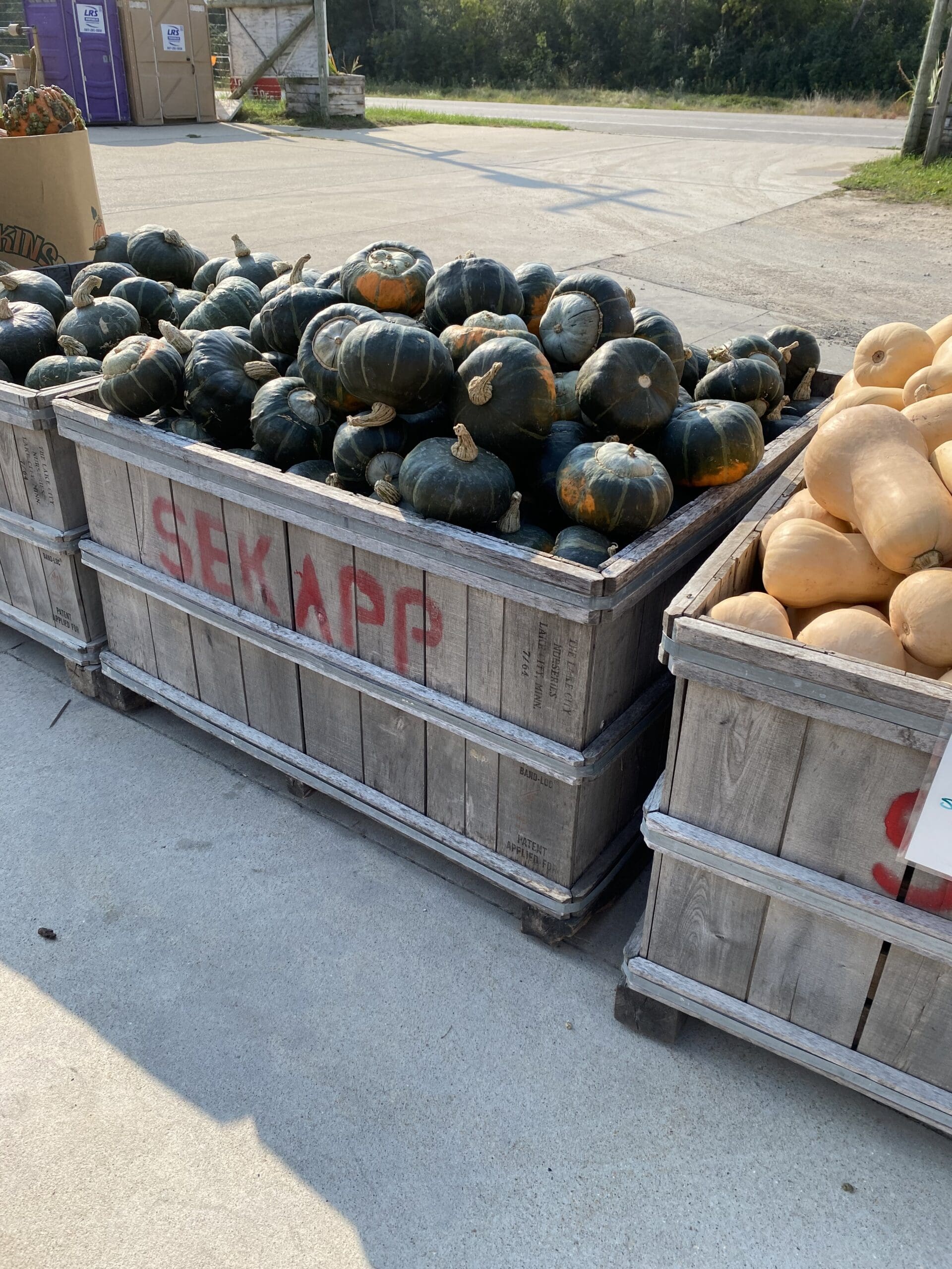 Rochester's Sweet Neighbor: Fresh Apples Minutes from Downtown