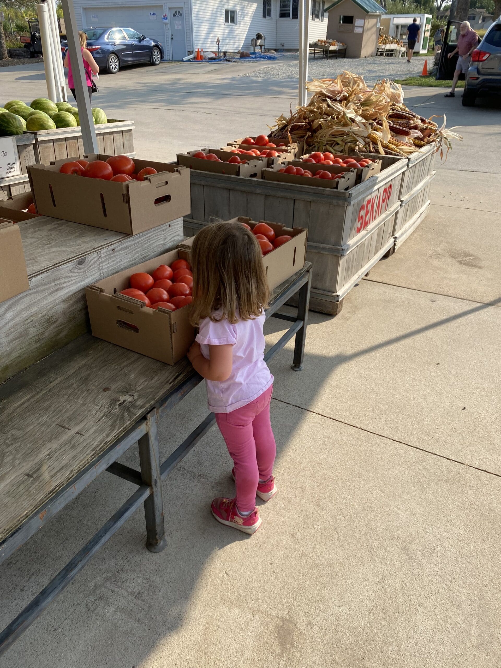Rochester's Sweet Neighbor: Fresh Apples Minutes from Downtown