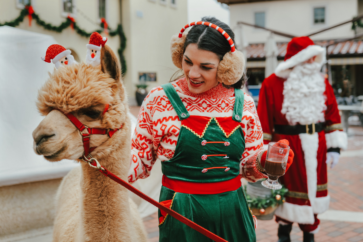 8 Best Christmas Markets Near Rochester MN