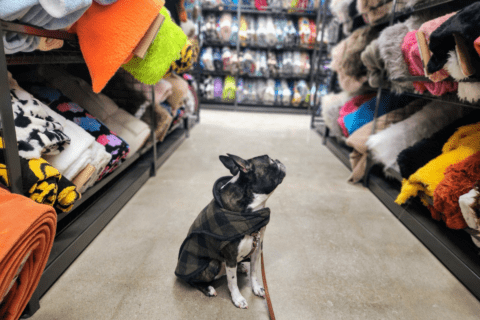 Boundless | Rochester's NEW Fully-Inclusive Indoor Playground