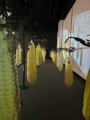 Boundless | Rochester's NEW Fully-Inclusive Indoor Playground