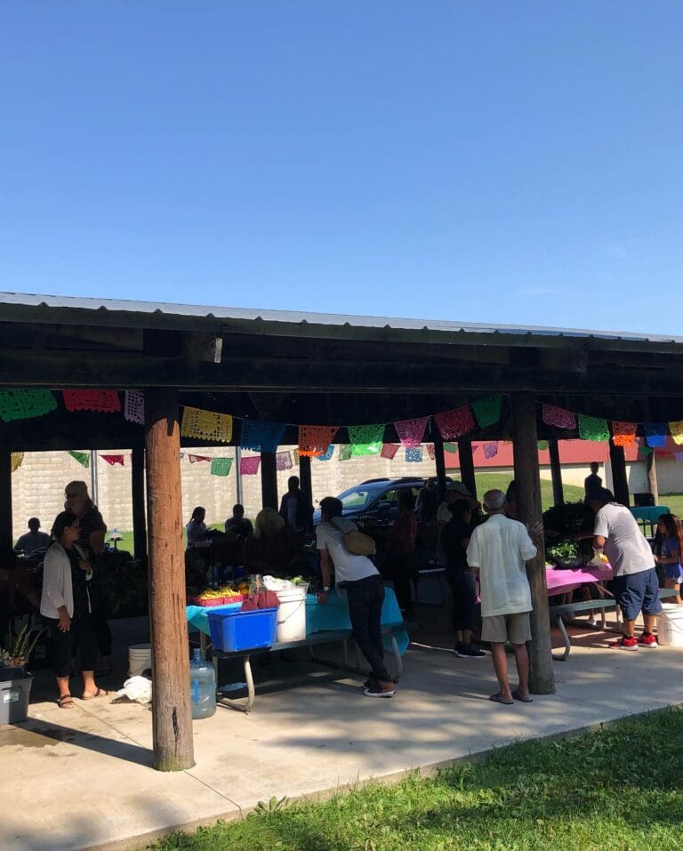 The Original Rochester Greek Fest | This Weekend!