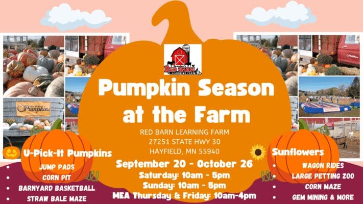 The Promise House: How Family Promise Rochester is Supporting Families ...